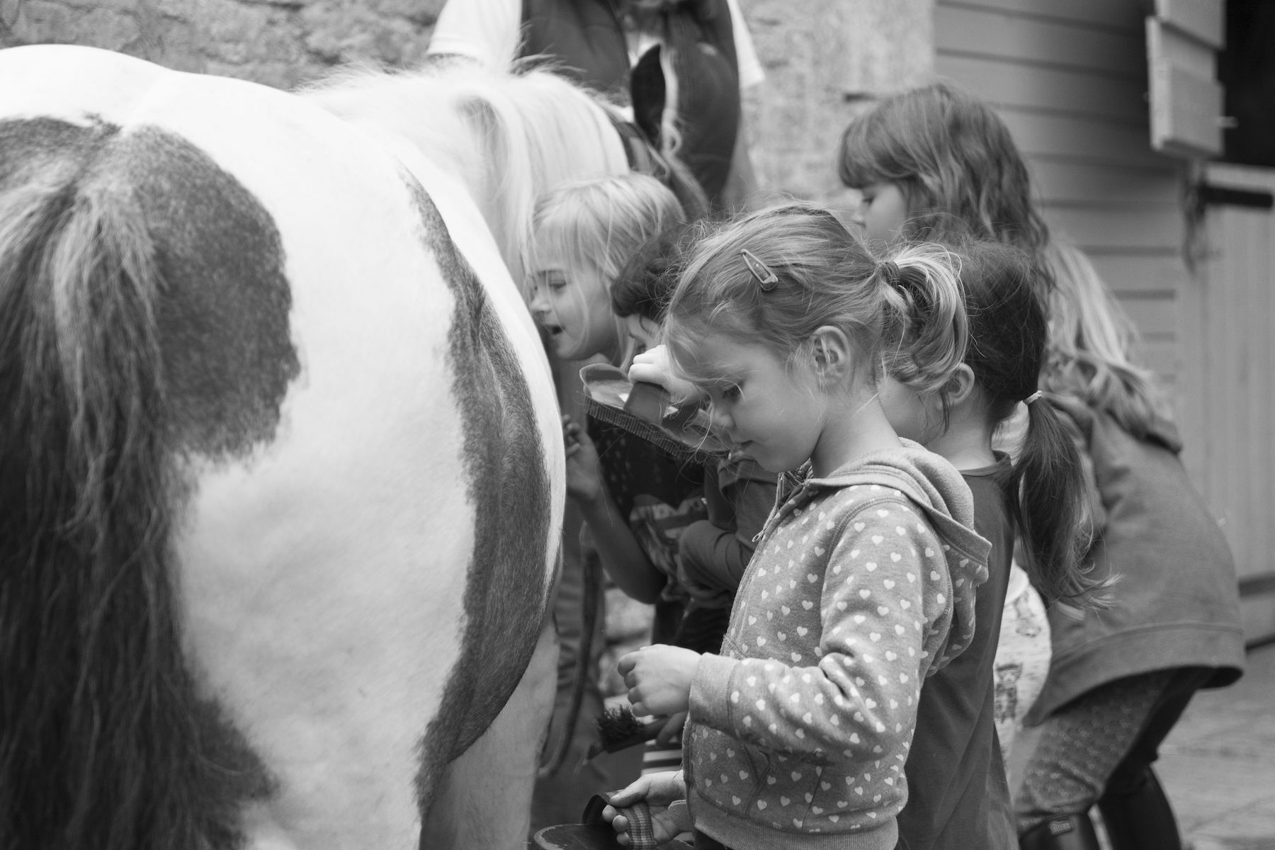 Equine Therapy Center - People & Horses Learning Together