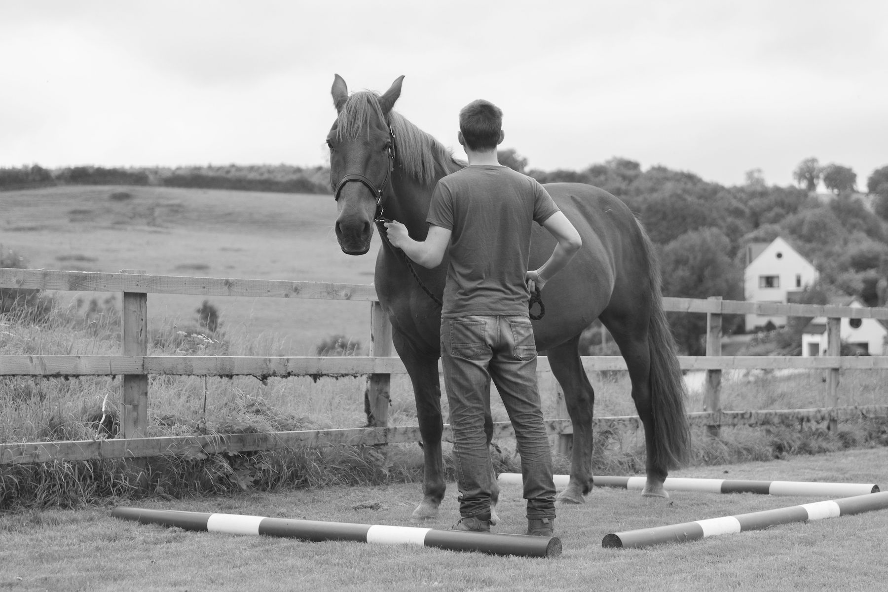 Equine Therapy Center - People & Horses Learning Together